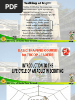 BSP 5 Section | PDF | Scouting | Childhood