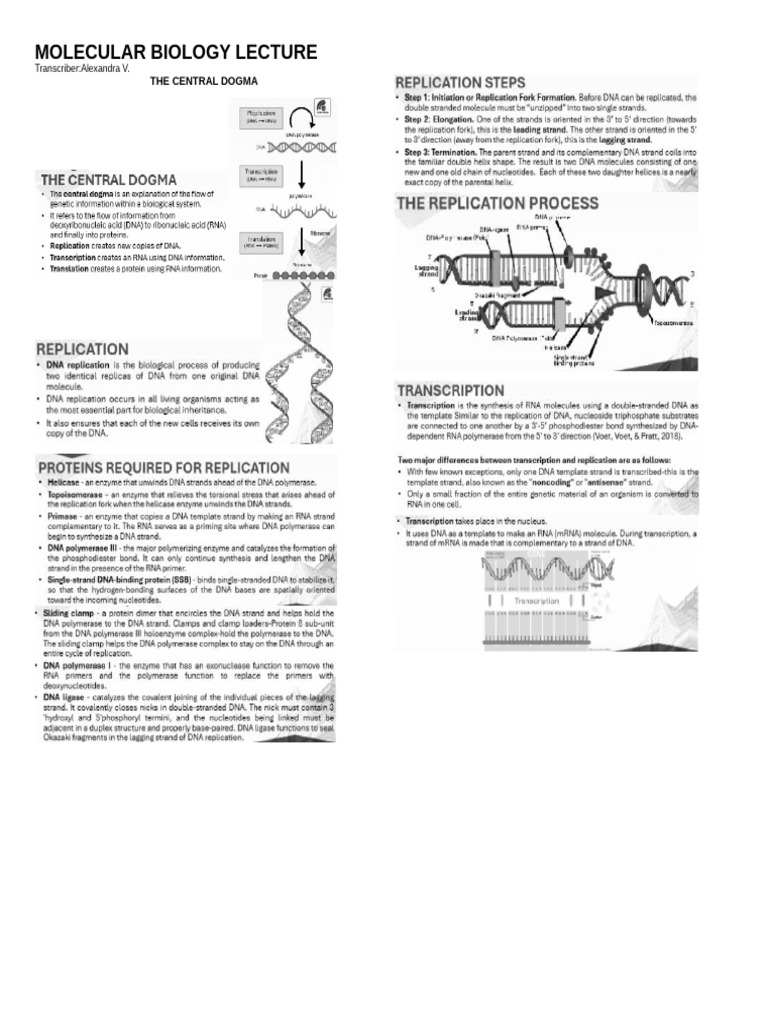 Transes Template | PDF