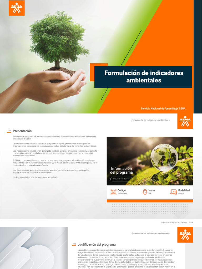 Formulacion de Indicadores Ambientales | PDF