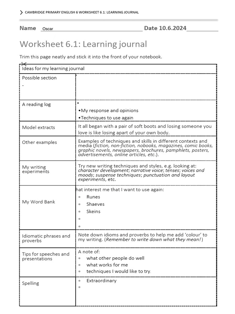 P6 Learning Journal | PDF