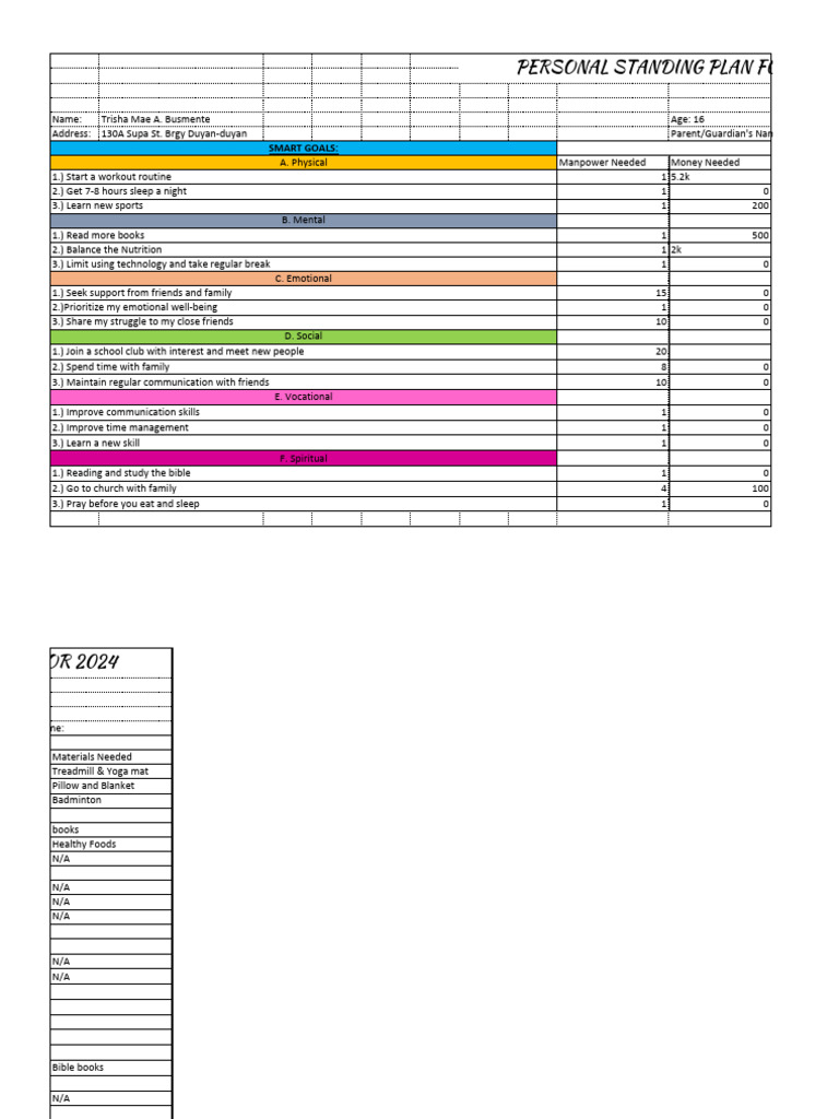 Personal Standing Plan | PDF