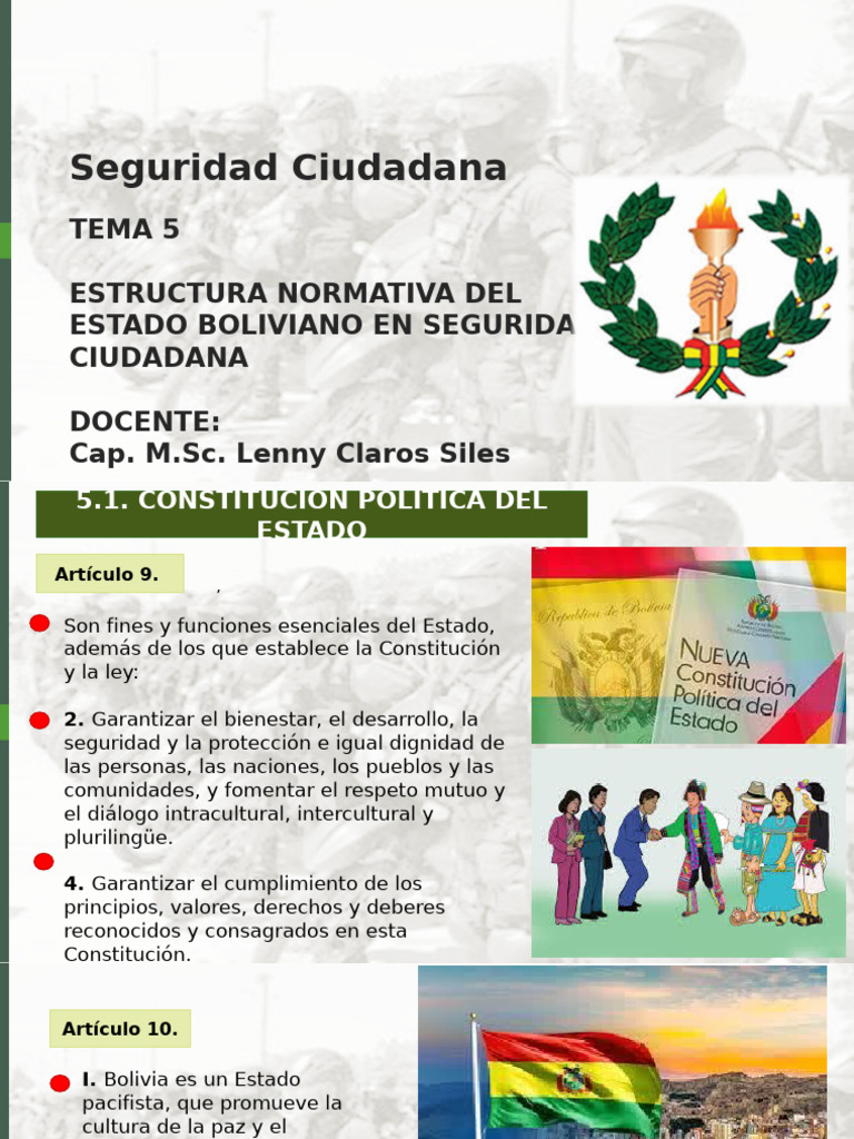 Tema 5 Seguridad Ciudadana | PDF