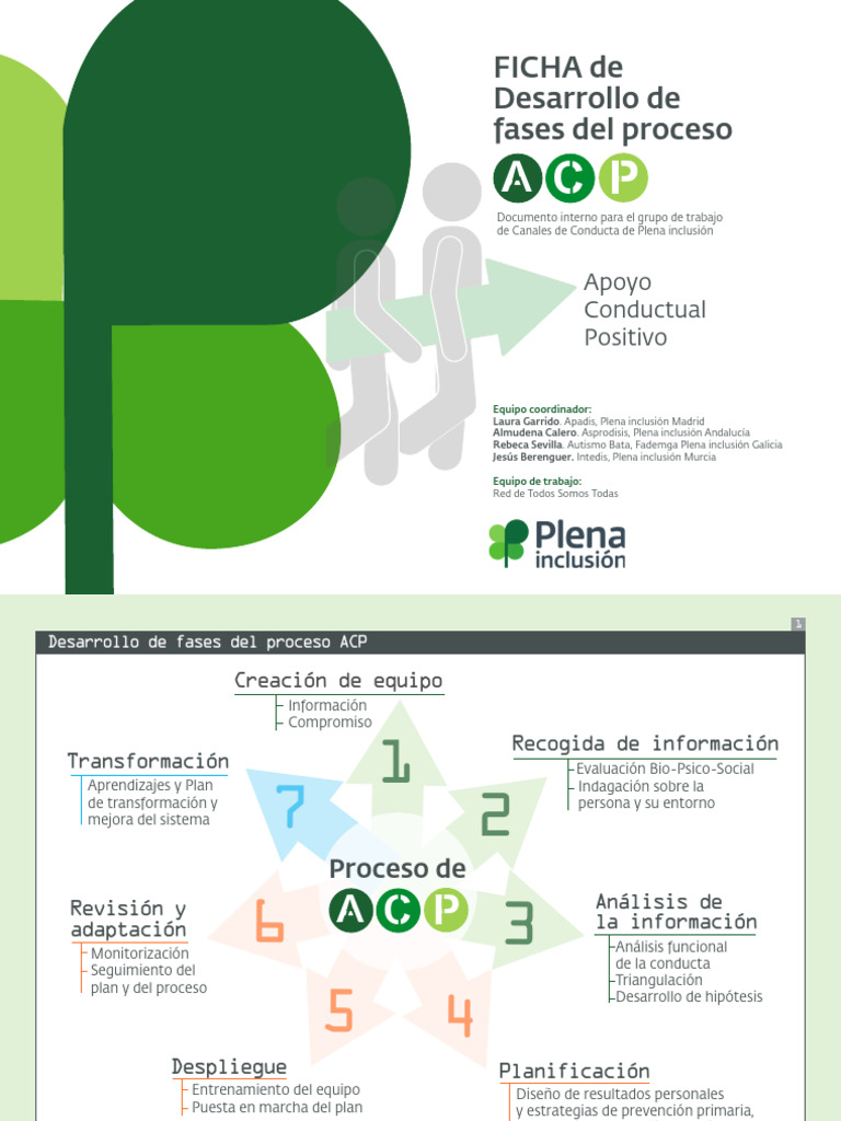 Apoyo-conductual-positivo.-Ficha-de-desarrollo-de-fases-del-proceso | PDF Apoyo-conductual-positivo.-Ficha-de-desarrollo-de-fases-del-proceso | PDF