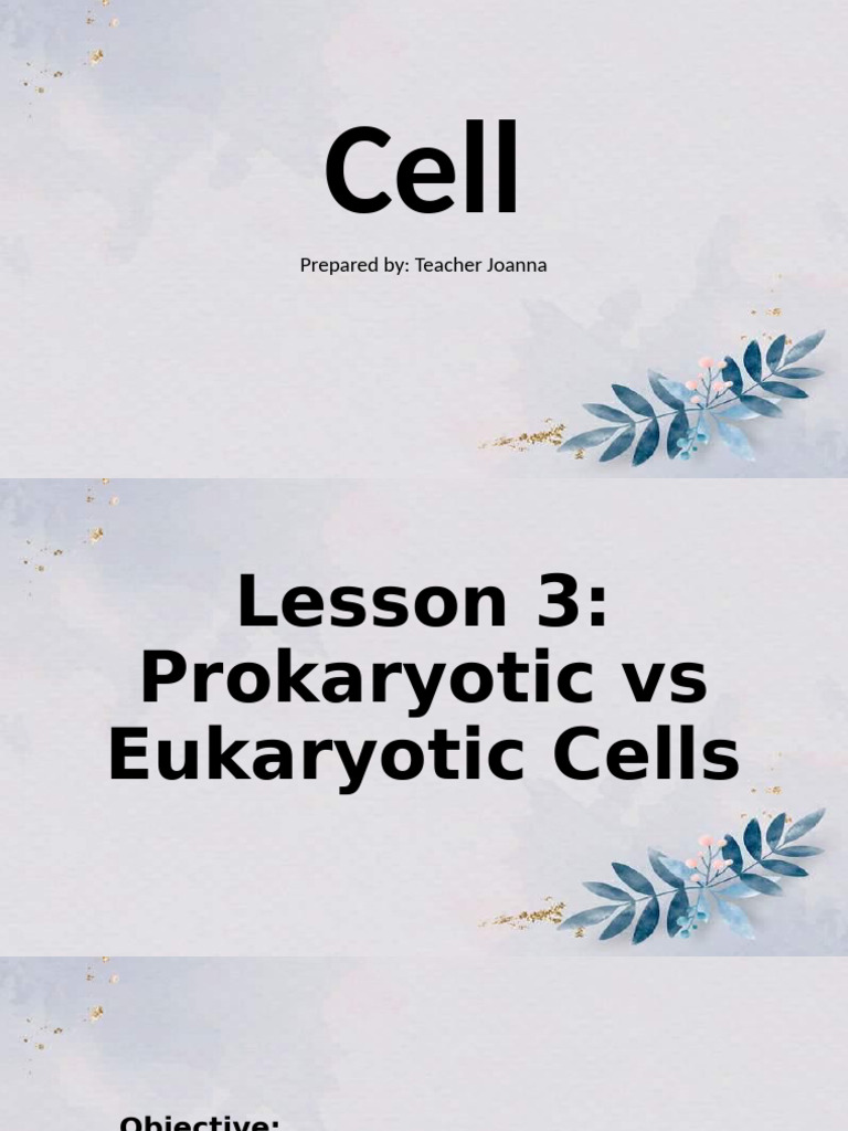L2 Prokaryotic vs. Eukaryotic Cell | PDF