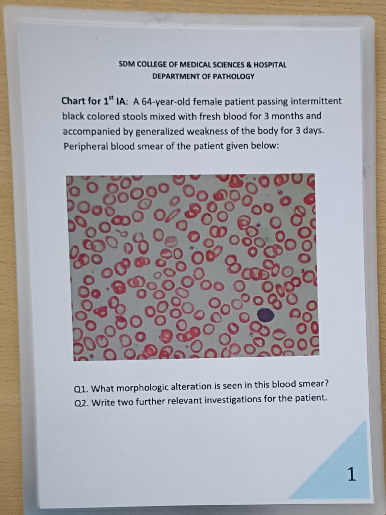 Pathology Charts 1IA | PDF