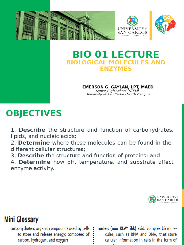 Biological Molecules and Enzymes | PDF | Translation (Biology) | Wellness