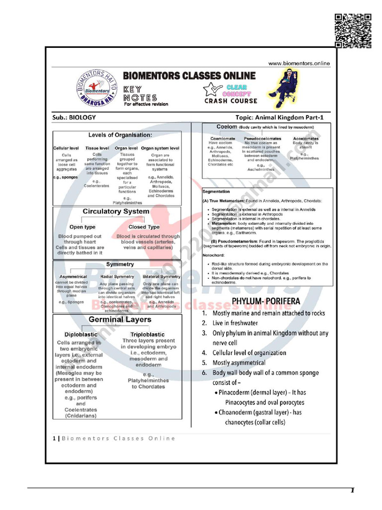 Biology - Animal Kingdom Part 1 - Crash Course Notes | PDF