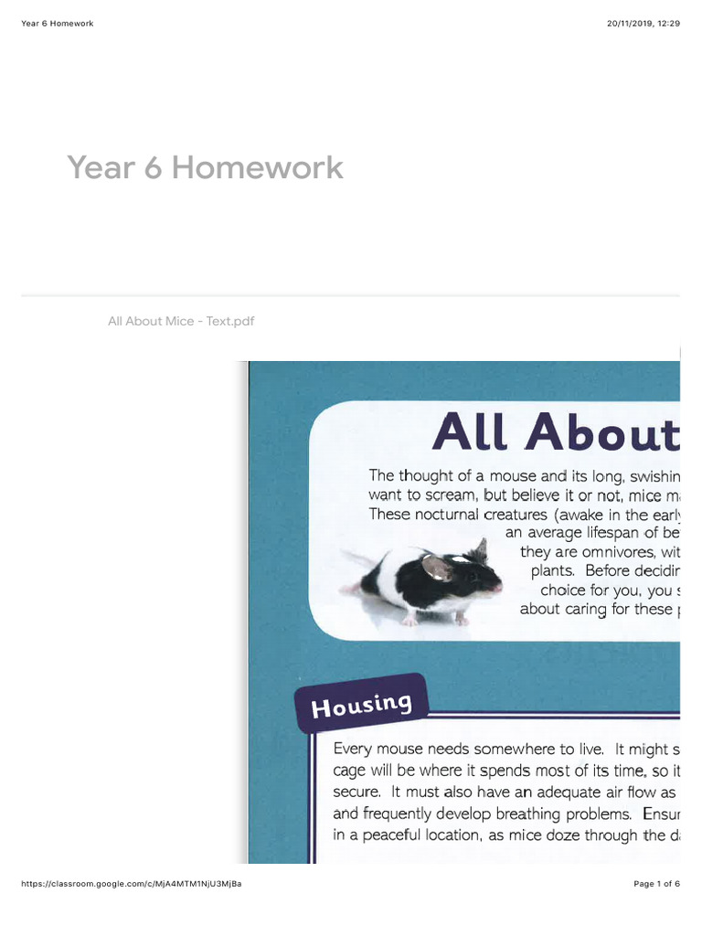 Year 6 Homework 20:11:219 | PDF