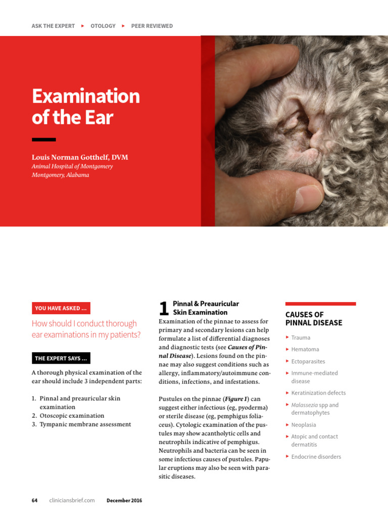 Ask Examination of The Ear 32716 Article | PDF