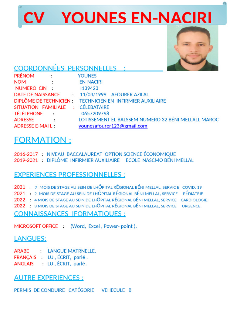 cv younes | PDF