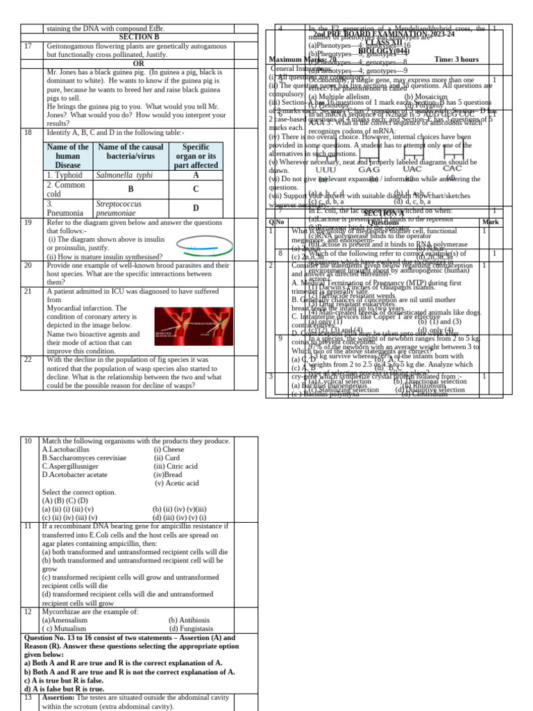 2nd PRE BOARD EXAMINATION | PDF