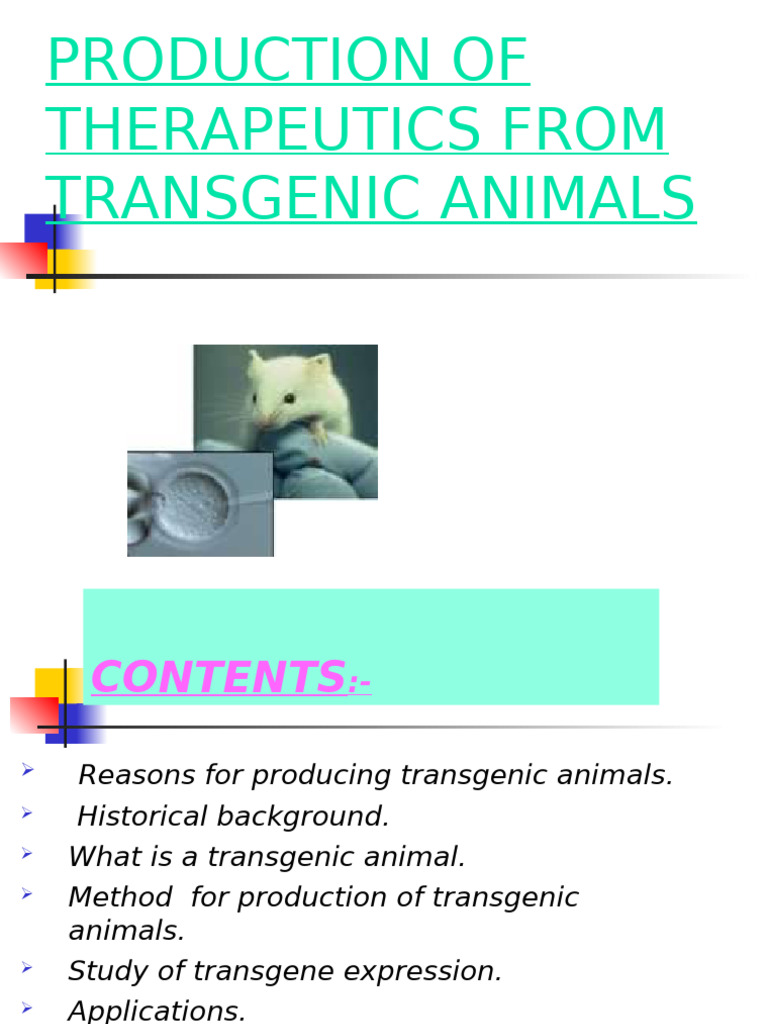 Production of Therapeutics From Transgenic Animals | PDF