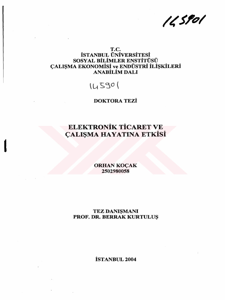 Elektronik Ticaret | PDF