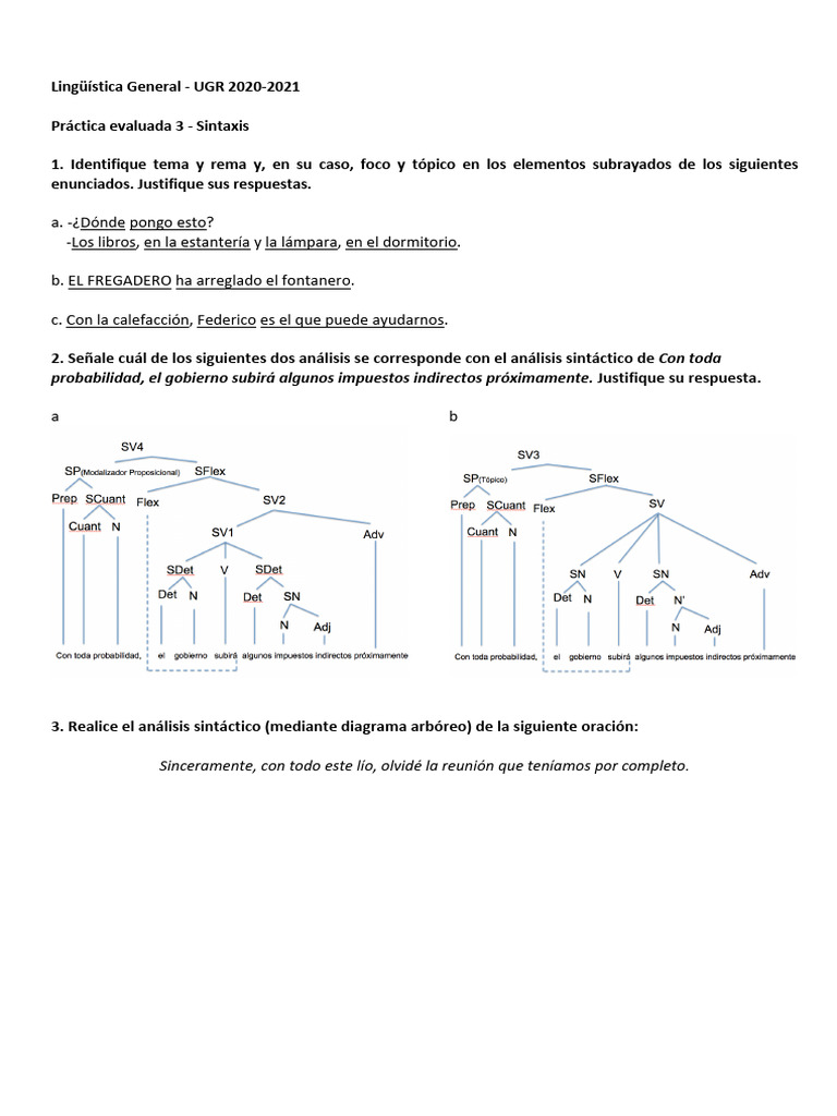 Práctica 3 - Sintaxis | PDF