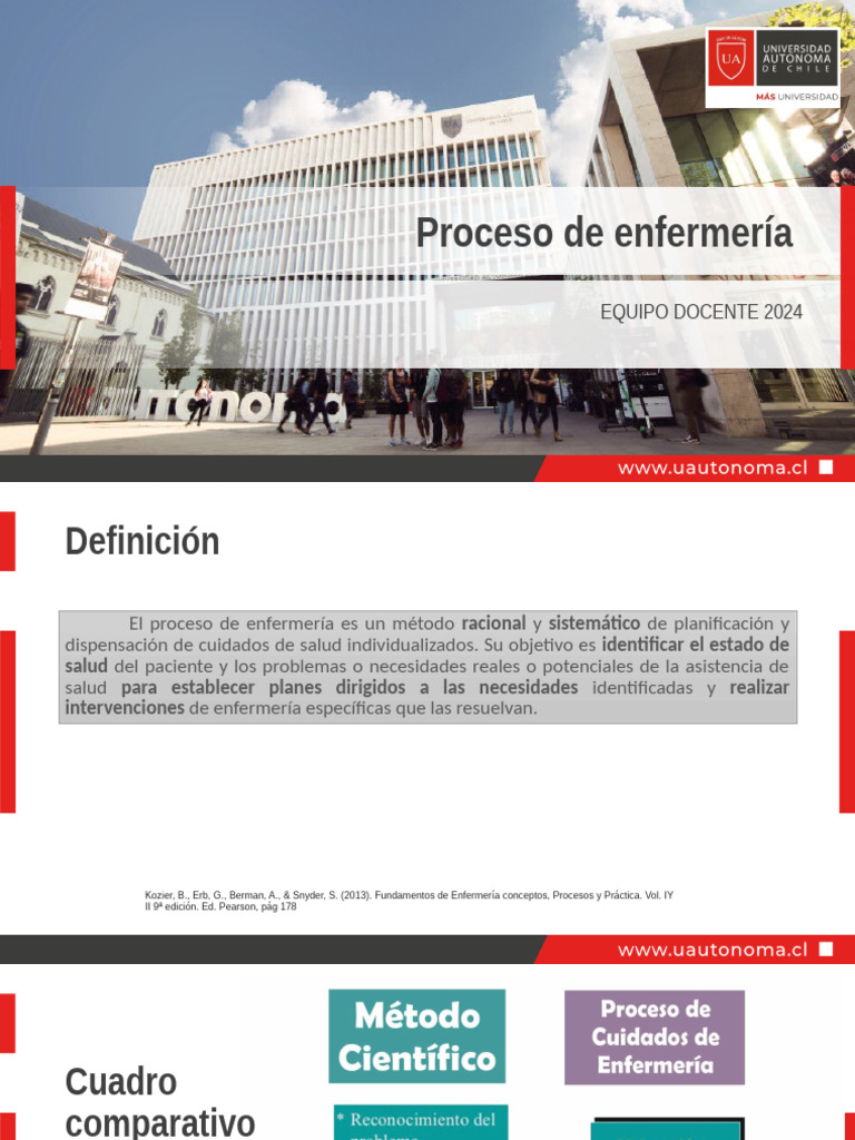 Proceso de Enfermería 2024 | PDF