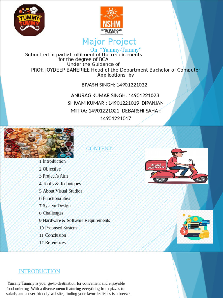 Major PPT | PDF