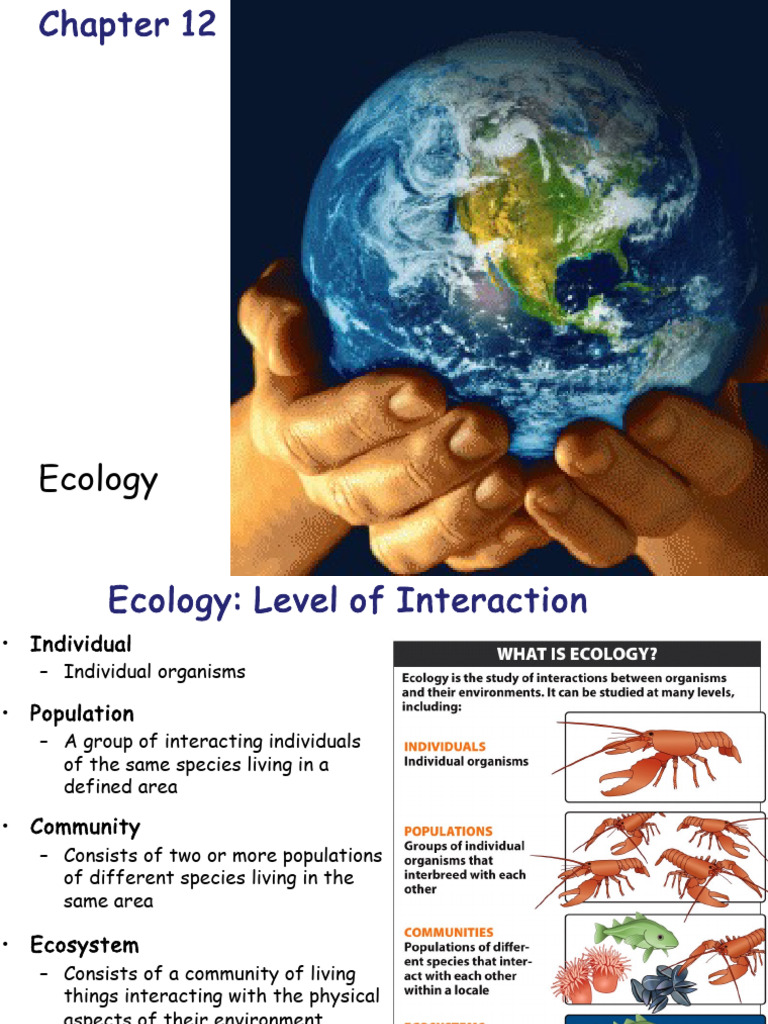 CH 12 Ecology - S | PDF | Biodiversity | Habitat Destruction