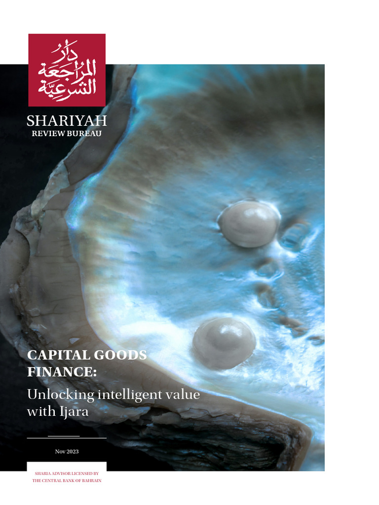 Capital Goods Finance | PDF
