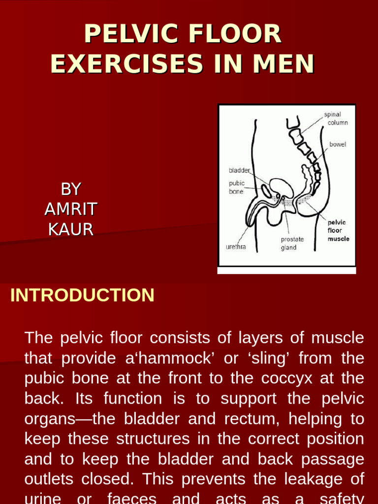 PELVIC FLOOR EXERCISES IN MEN | PDF
