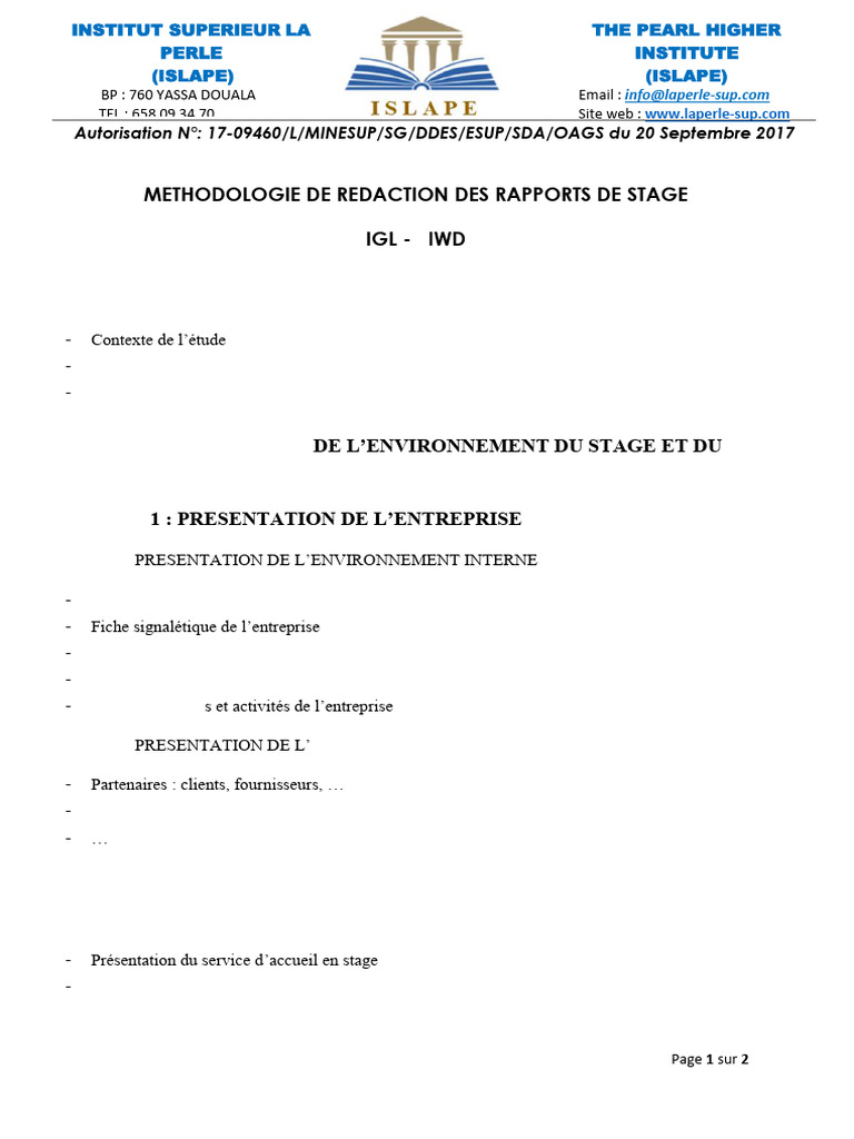 Methodologue de Rédaction Des Rapports de Stage IWD | PDF