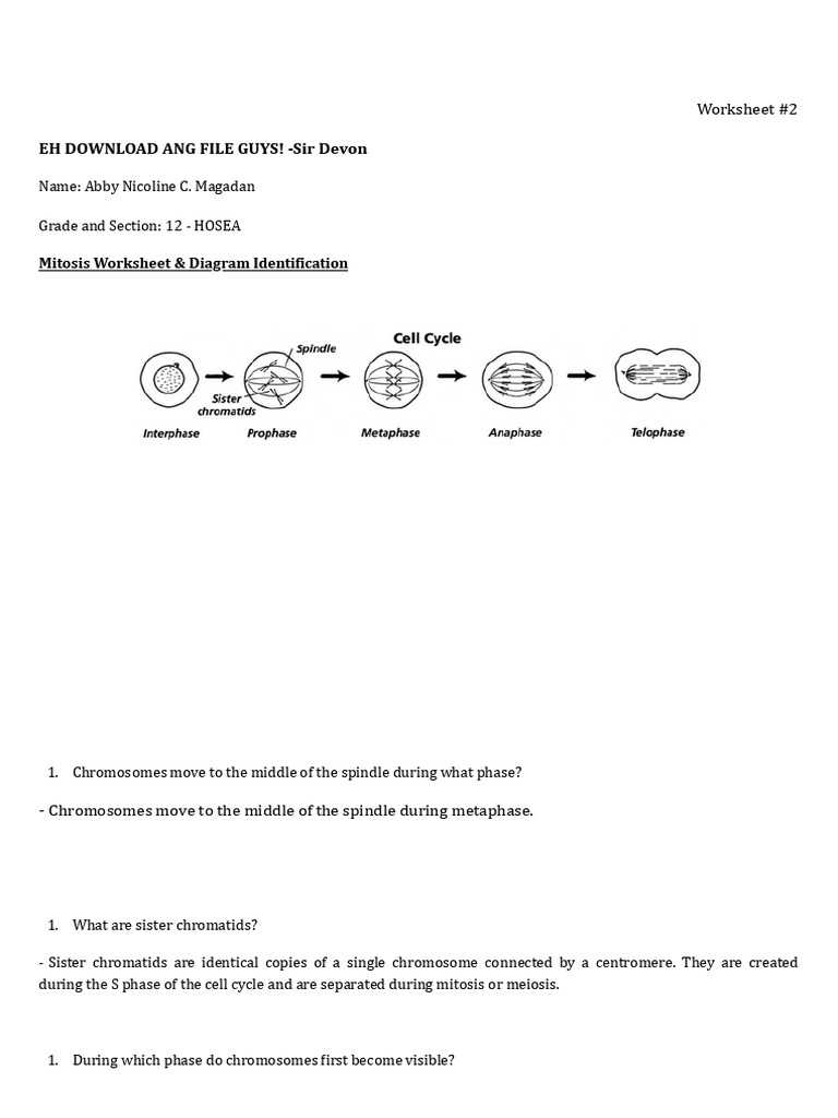 Worksheet2 General Biology 1.docx - 20240909 - 172314 - 0000 | PDF