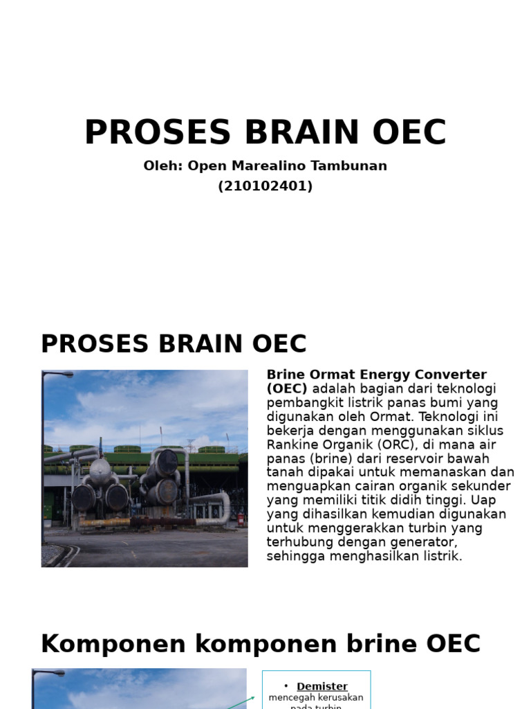 Proses Brain Oec | PDF
