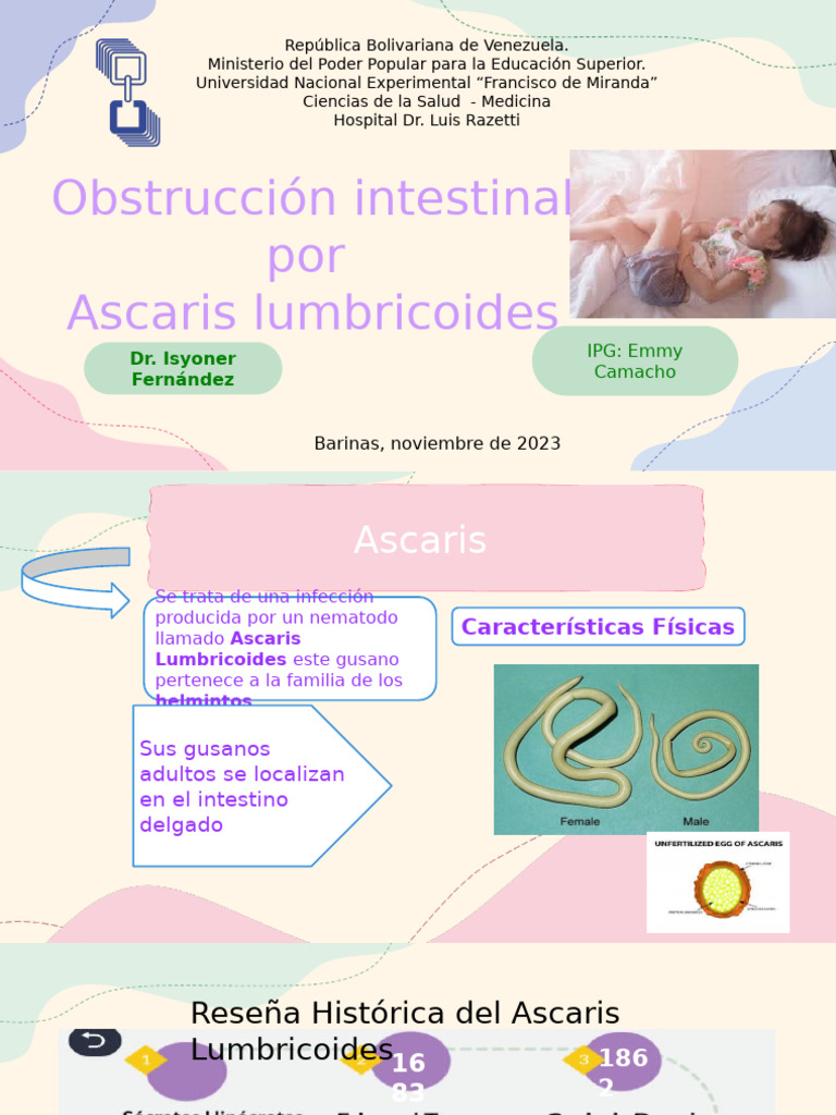 Obstruccion Intestinal Por Ascaris Lumbricoides Definitivo 1 | PDF