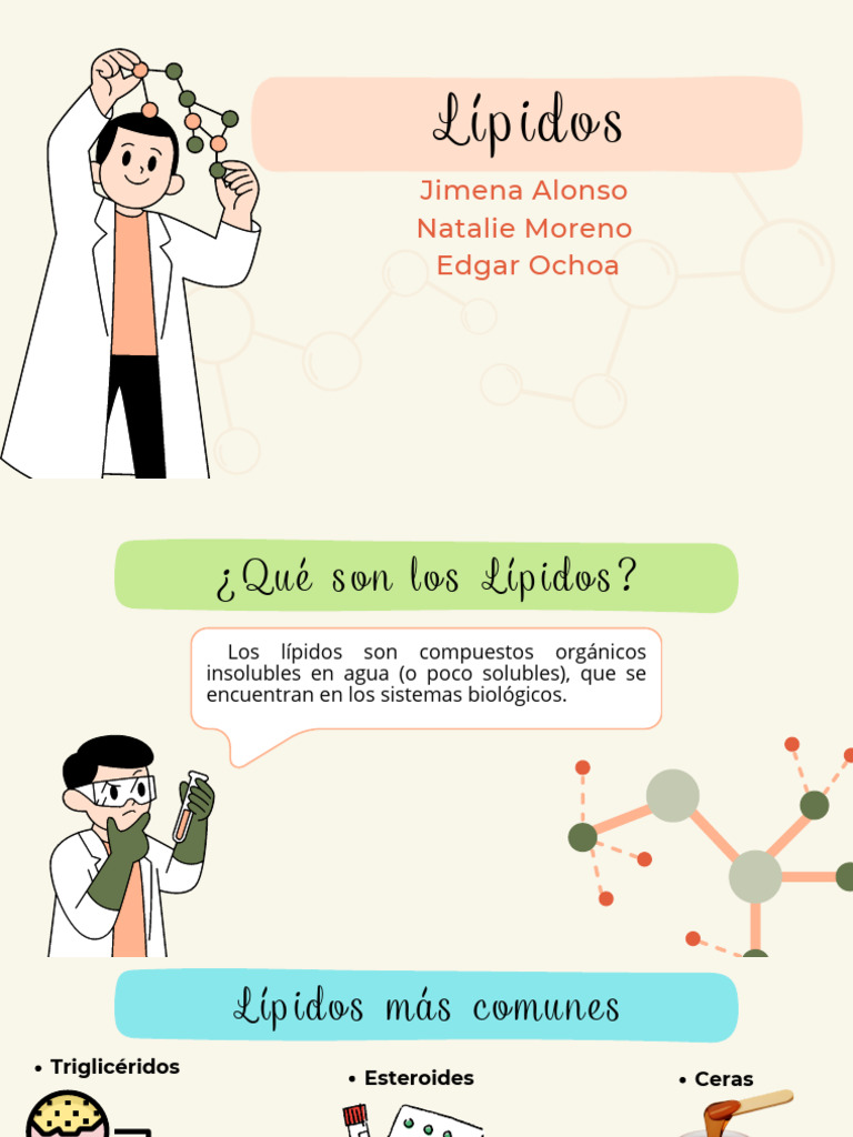 Lípidos | PDF