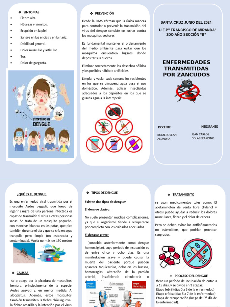 Tripticos Del Dengue | PDF