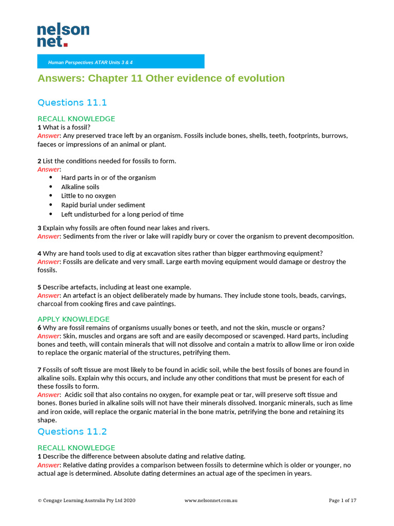 Chapter 11 Answers | PDF