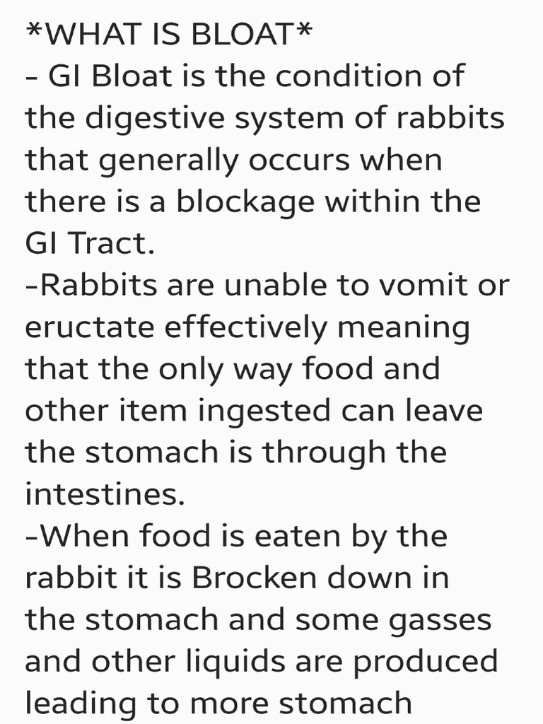 GI Bloat in Rabbits | PDF