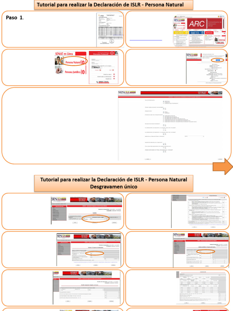 Tutorial para La Declaracion de ISLR | PDF
