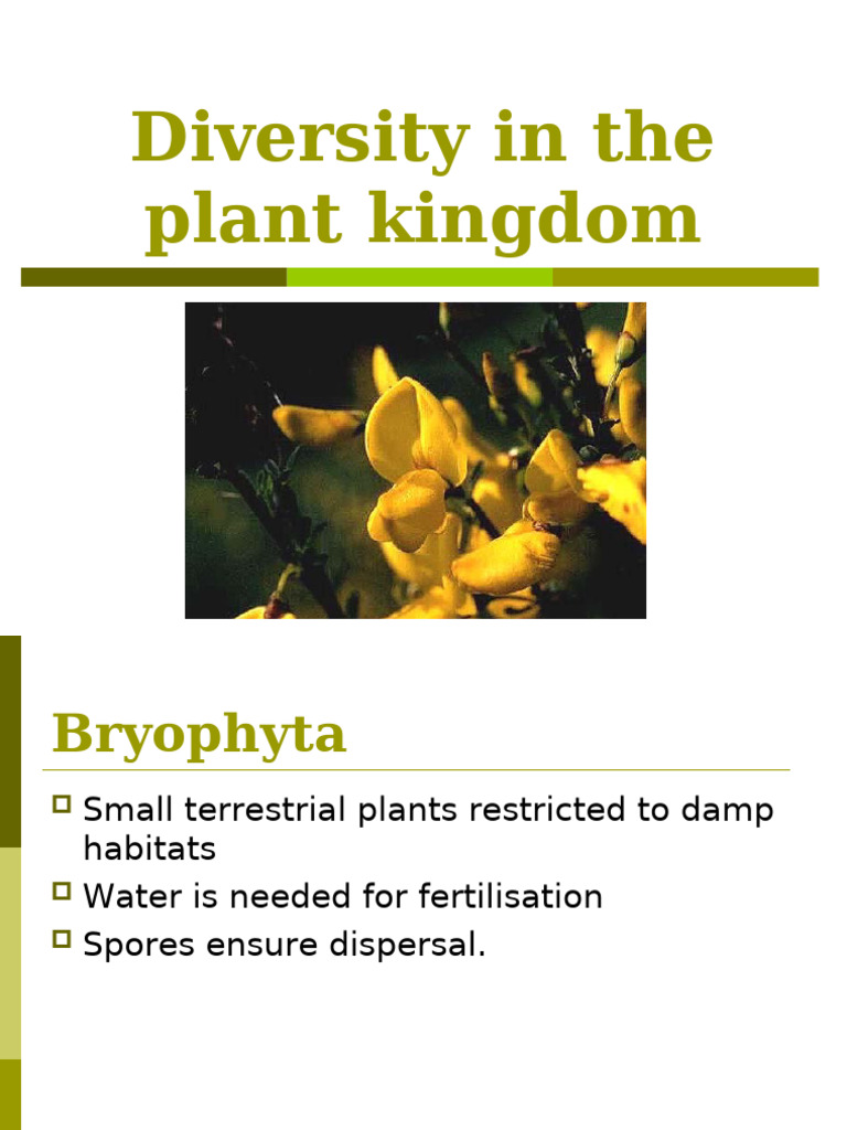 PLANTDIVERSITY | PDF