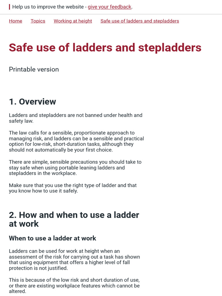 Print - Safe Use of Ladders and Stepladders | PDF