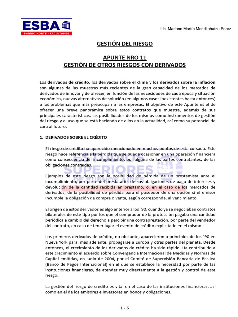 Apunte 11 Gestión de Otros Riesgos Con Derivados | PDF