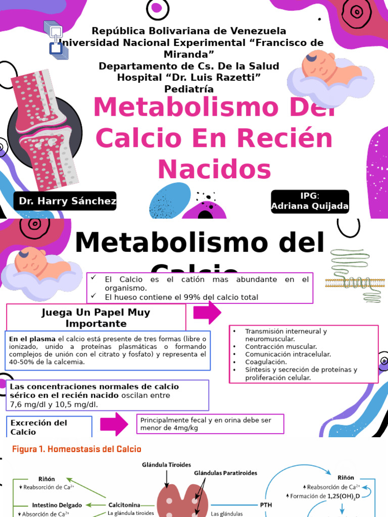 Tema 40 Metabolismo Del Calcio | PDF
