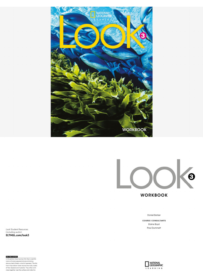 Look 3 - WB | PDF