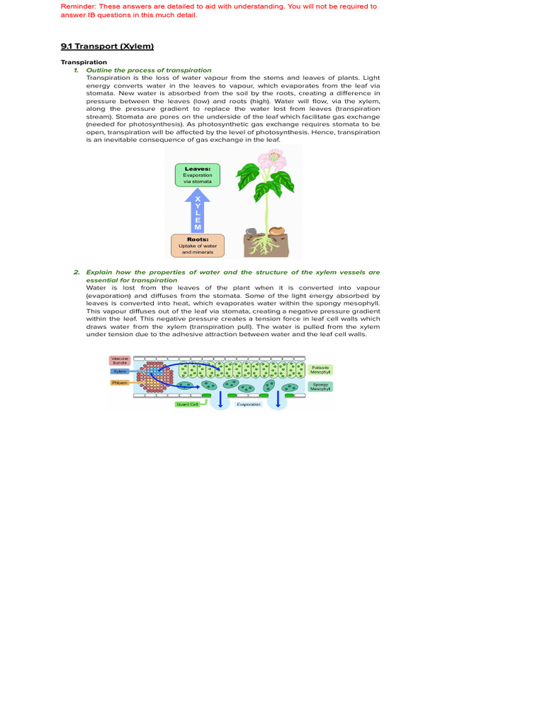 Ib Bio Notes 9.1 | PDF