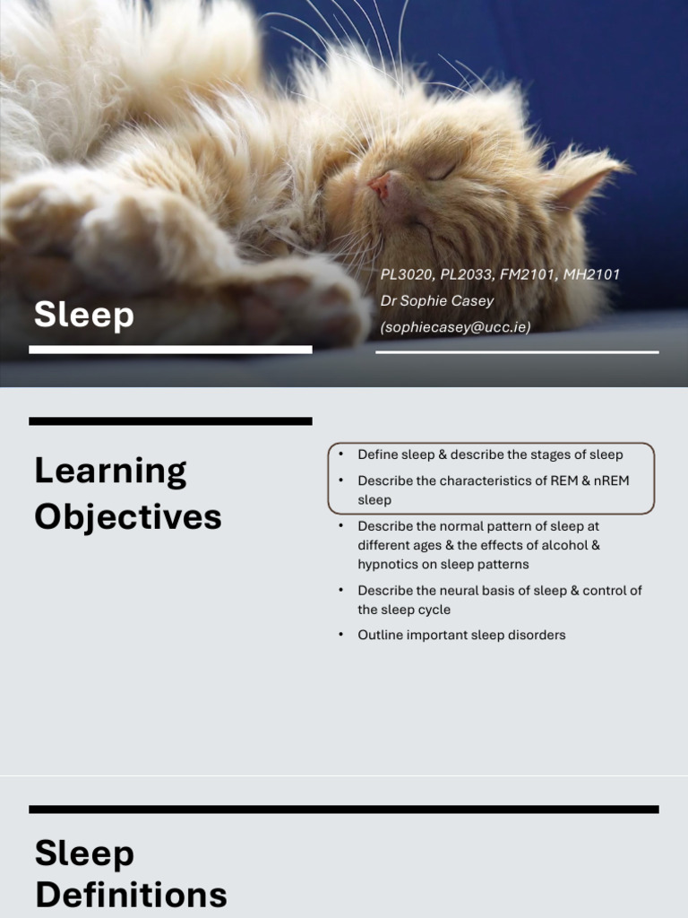 Sleep | PDF