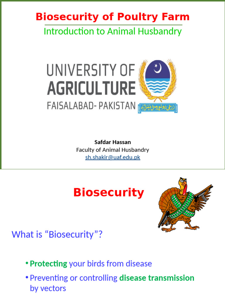 6 - Biosecurity of Poultry Farm | PDF