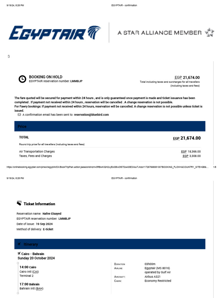 EGYPTAIR | PDF