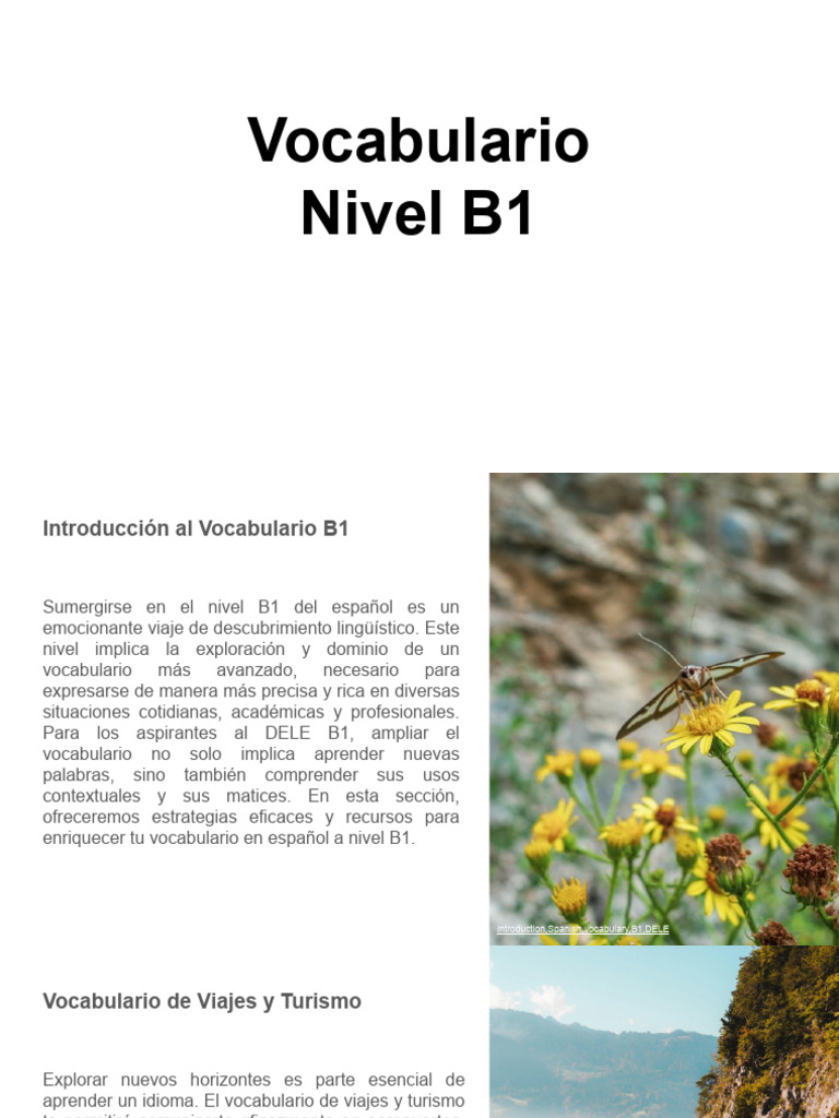 Vocabulario Nivel B1 | PDF