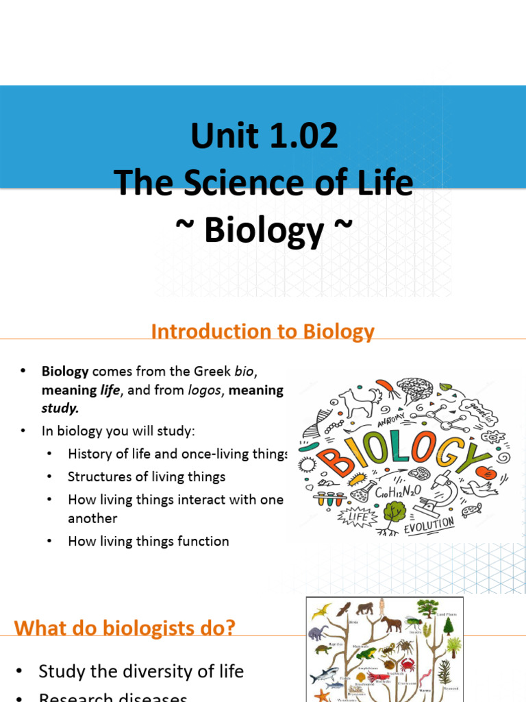 Characteristics of Life in Biology | PDF
