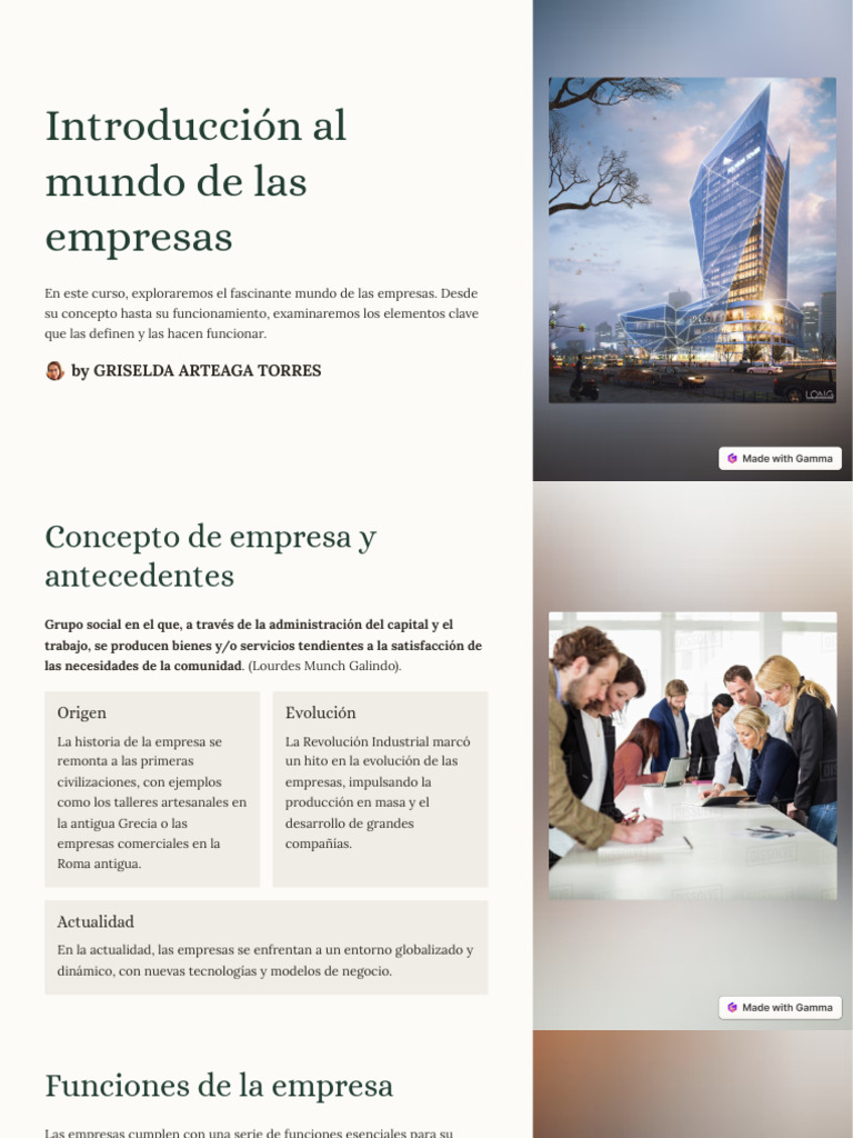 Introduccion Al Mundo de Las Empresas | PDF