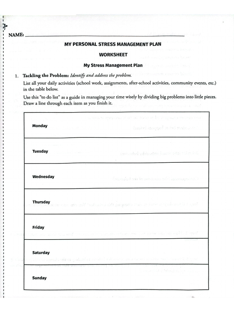MODULE 5 LESSON 10 - My Personal Stress Management Plan | PDF