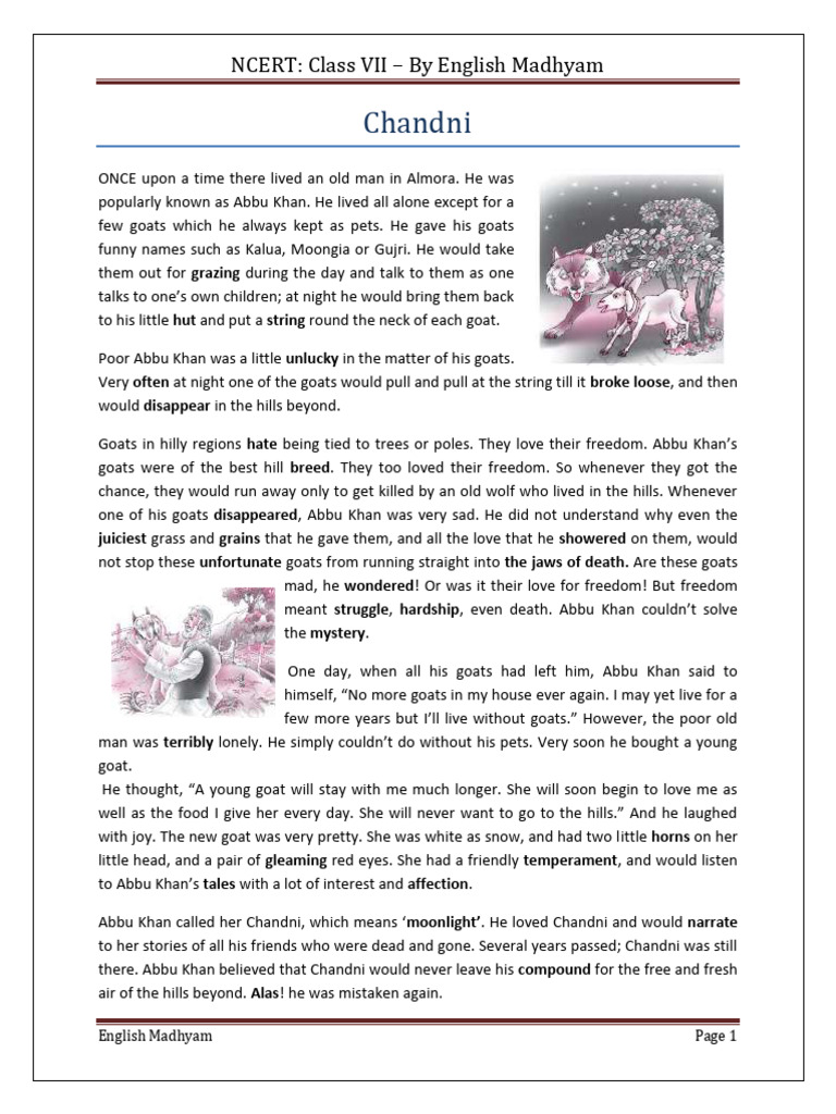 Chandni 240728 055244 | PDF