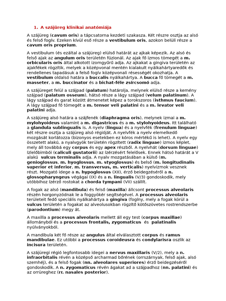 A Szájüreg Klinikai Anatómiája | PDF