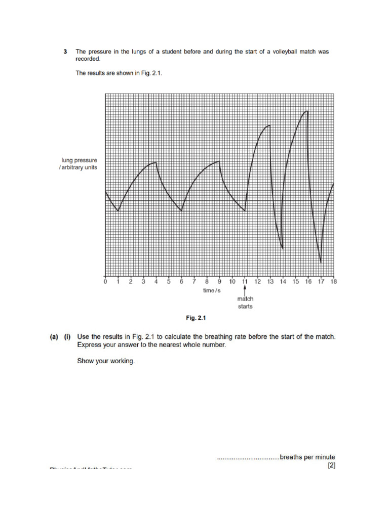 worksheet of Calculating Breathing rate | PDF