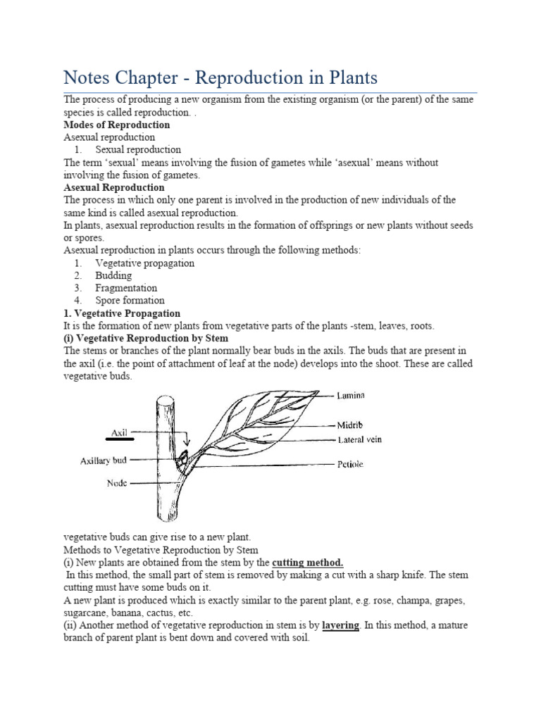 Class 7 Science Notes Chapter - Reproduction in Plants-2024 | PDF