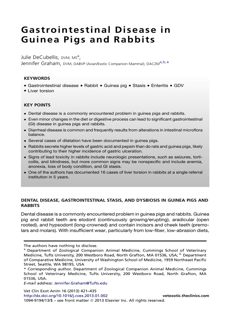 Gastrointestinal Disease in Guinea Pigs and Rabbits | PDF